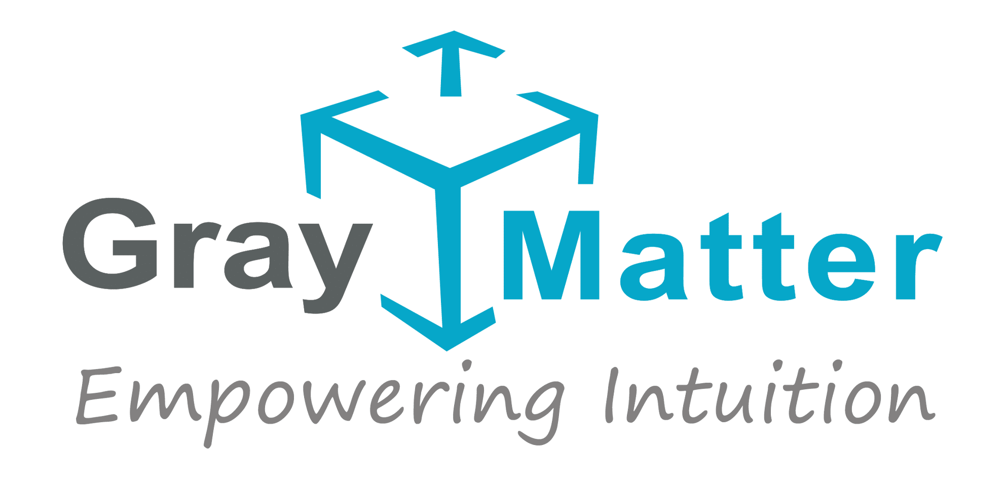 GrayMatter | BI, Analytics & Big Data Consulting & Services